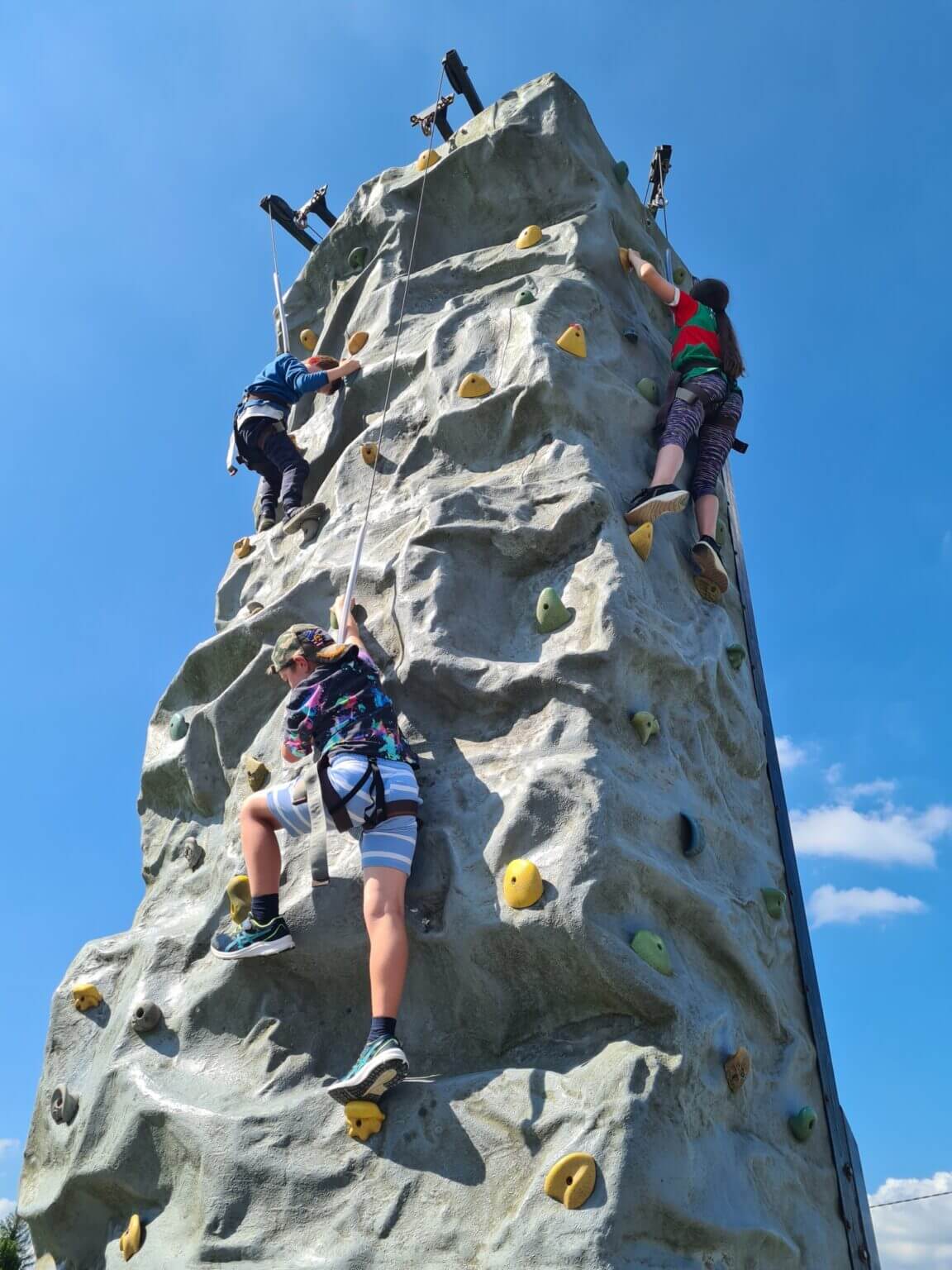 Primary School Tour - Shannon River Adventure Centre